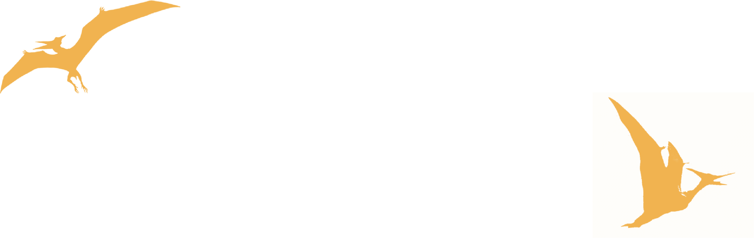 Educational Workshops for Primary Schools | Teach Rex