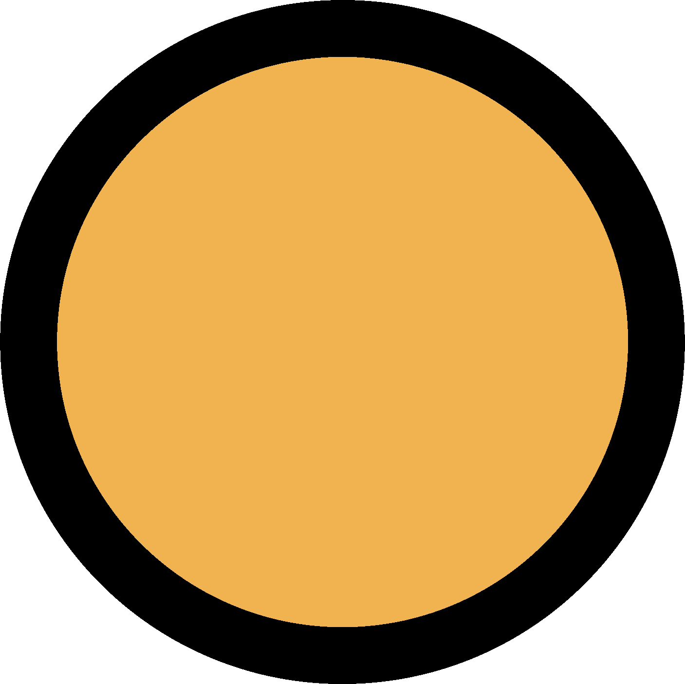 Educational Workshops for Primary Schools | Teach Rex