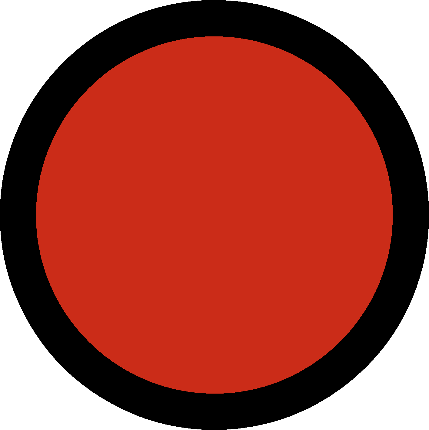 Educational Workshops for Primary Schools | Teach Rex