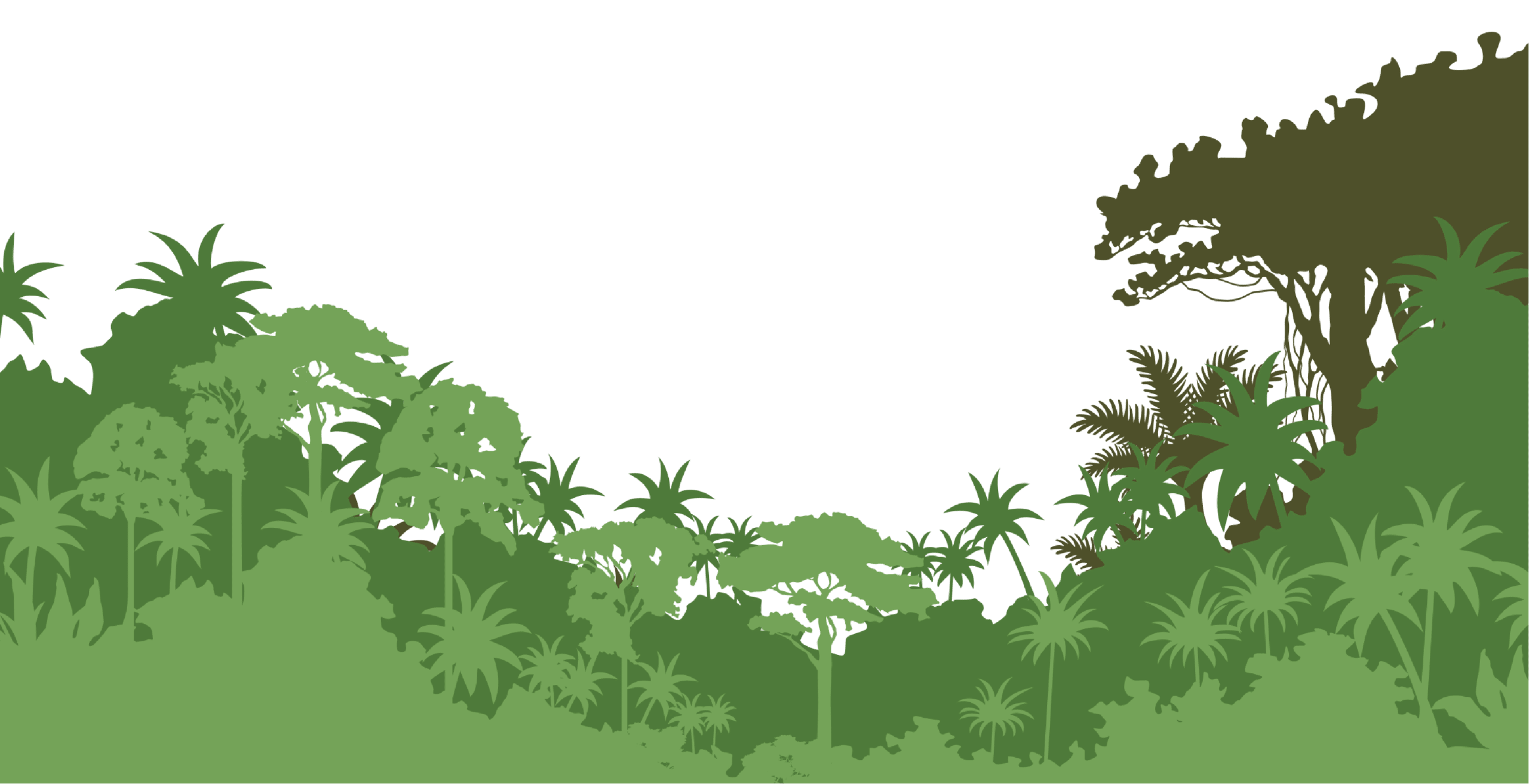 Educational Workshops for Primary Schools | Teach Rex