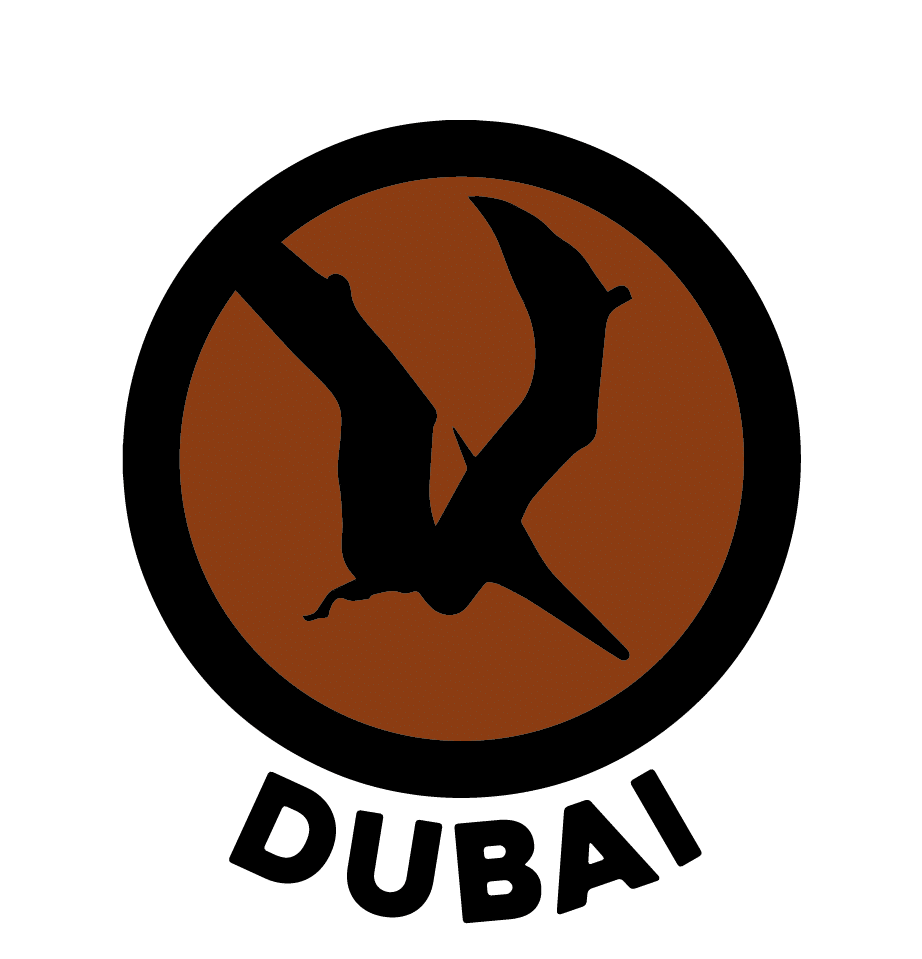 International Schools | Teach Rex