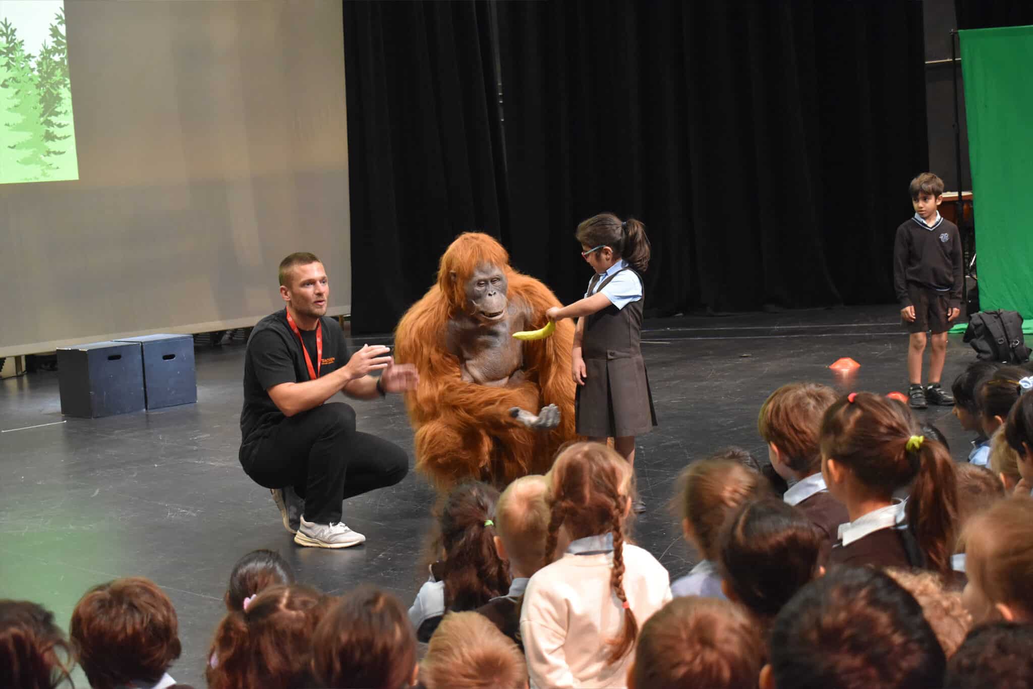 Educational Workshops for Primary Schools | Teach Rex