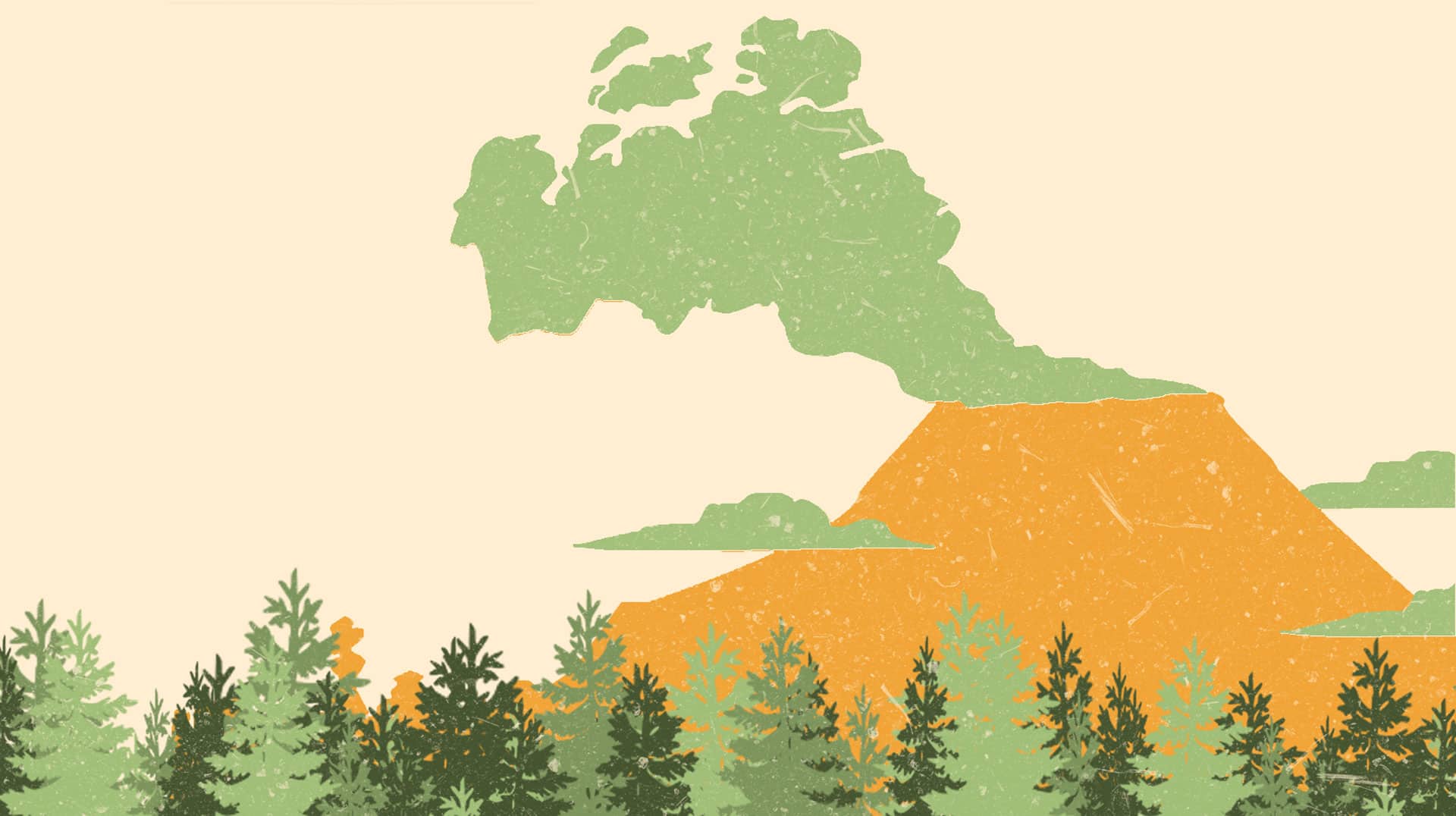 TEACH REX - NEW AGE EDUCATION