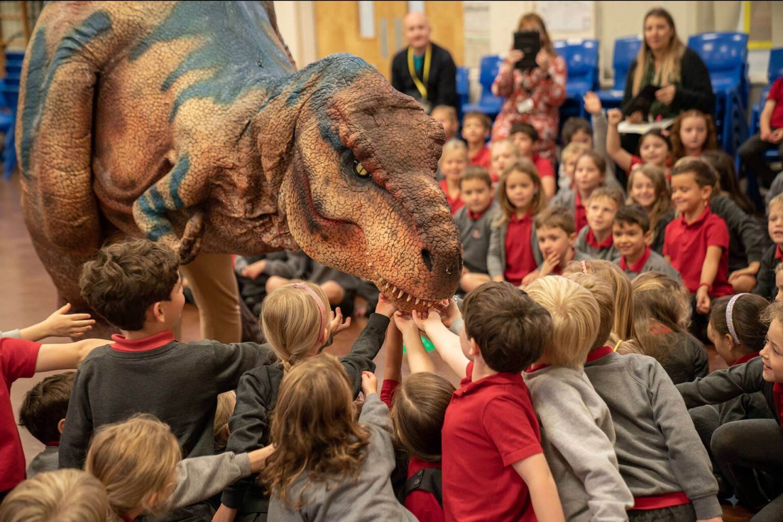 Our Year in Review | Teach Rex