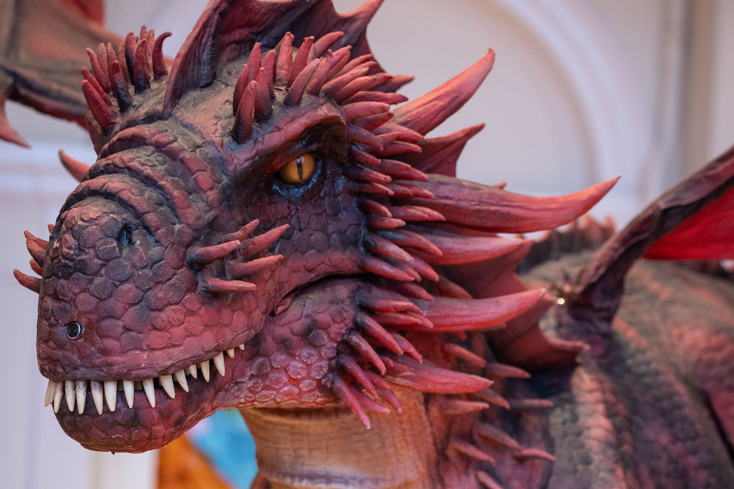 Thomas's Clapham - TEACH REX