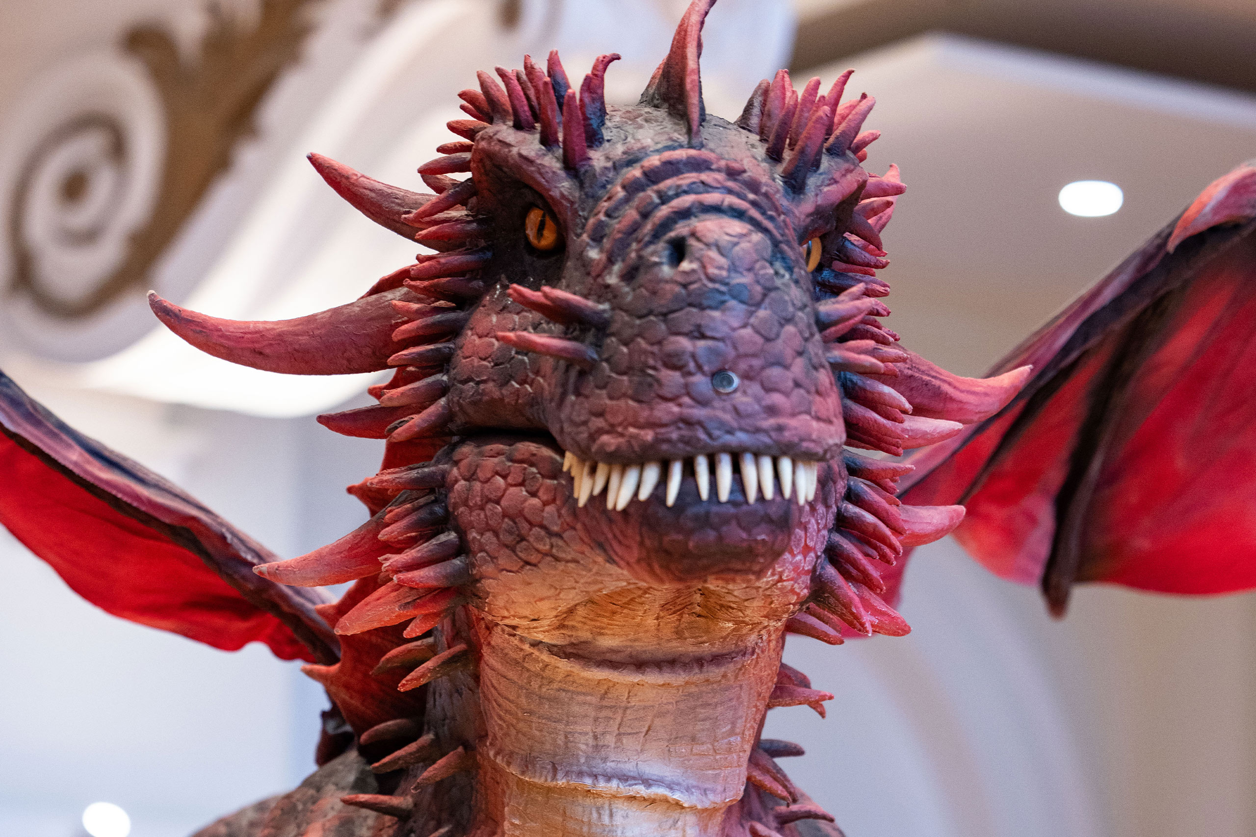 Thomas's Clapham - TEACH REX