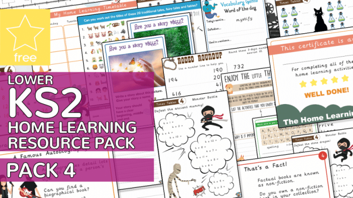 Teachers Pet - TEACH REX