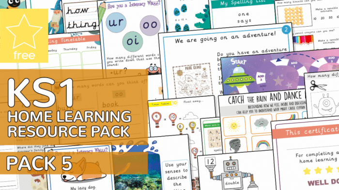 Teachers Pet - TEACH REX